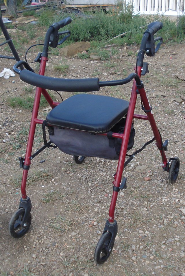 Mobility Walker | Health & Beauty for sale on Holloman bookoo!