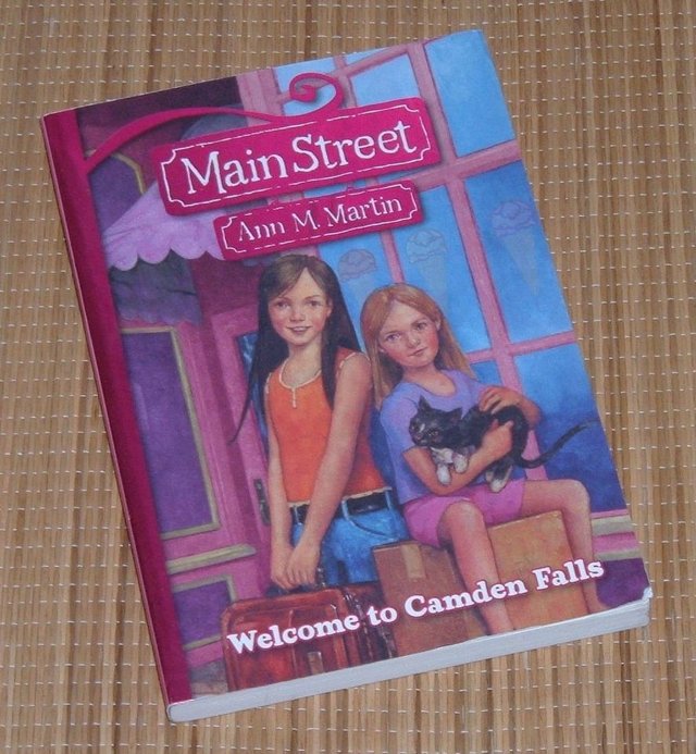 Main Street Series Welcome to Camden Falls Chapter Book | Books for ...